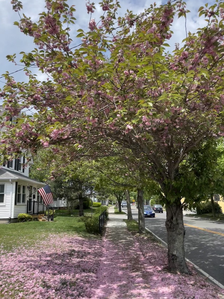 How To Spend One Day In Mystic, Connecticut