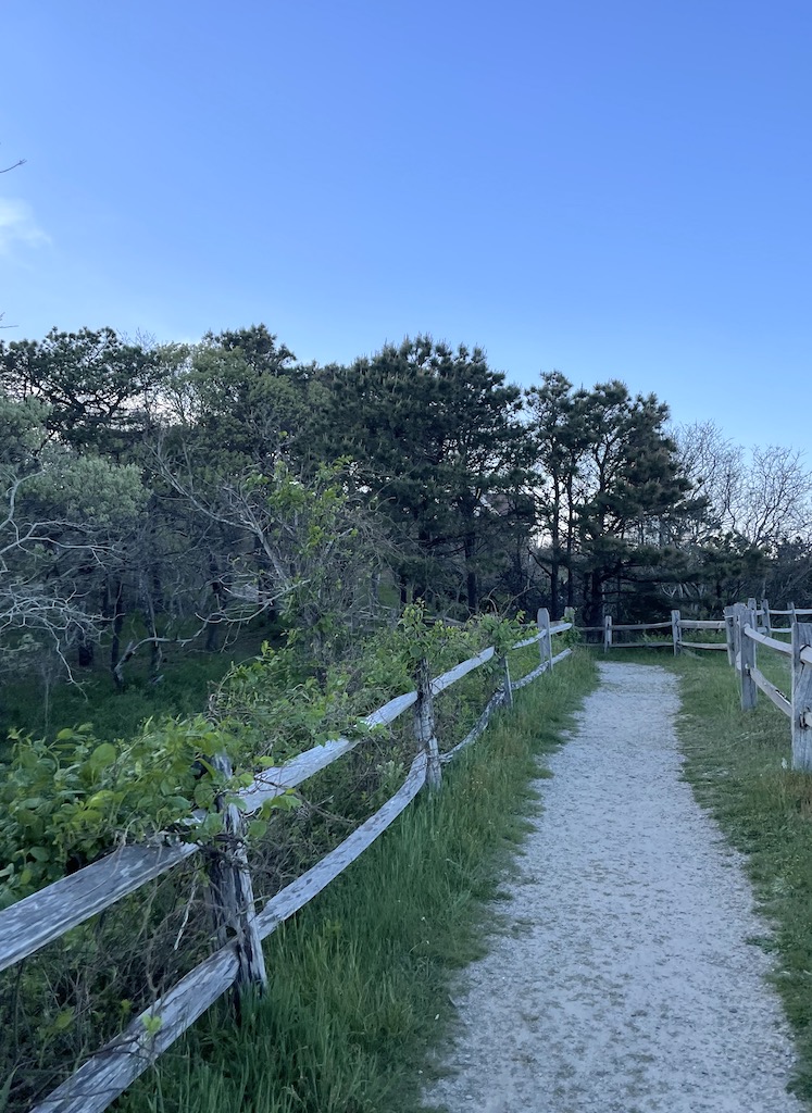 The Perfect 4 Day Cape Cod Vacation Itinerary